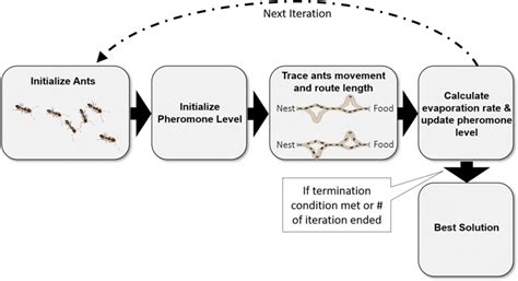 steps for ant colony optimization download scientific diagram
