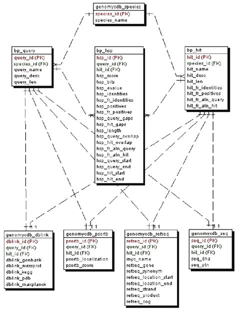 entity relationship diagram showing the relational structure
