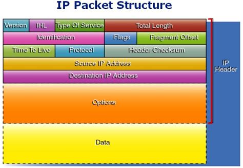 IP Packet Structure Diagram Instructional Design Textbook Packet
