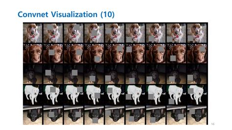 Paper Review Visualizing And Understanding Convolutional Networks PPT