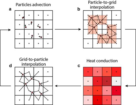 outline of the pic flip method used for advection of temperature and download scientific