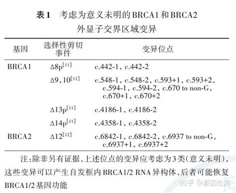 brca1 2数据解读中国专家共识（2021版） 知乎