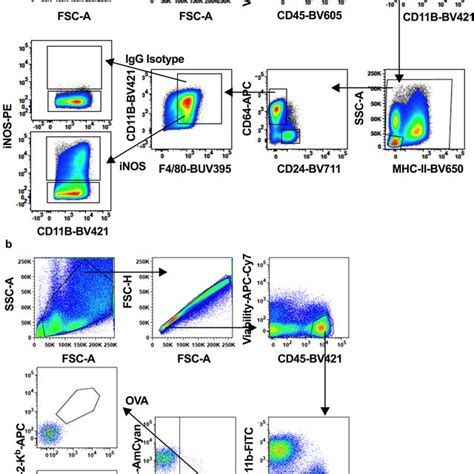 Gating Strategies For Multi Colour Flow Cytometry Gating Strategies For