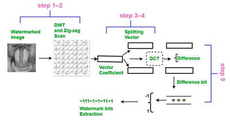 sensors free full text encryption based image watermarking algorithm in 2dwt dct domains