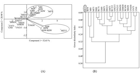 principal component analysis a and hierarchical cluster analysis b download scientific