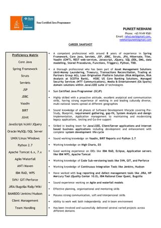 Puneet Senior Java Developer Resume PDF