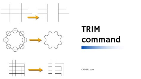 How To Use TRIM Command Step By Step