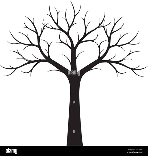 Shape Of Black Tree Without Leaves Vector Illustration Vector