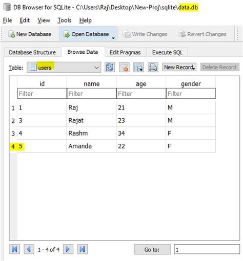 Inserting Data Into Database In Python Using Sqlite