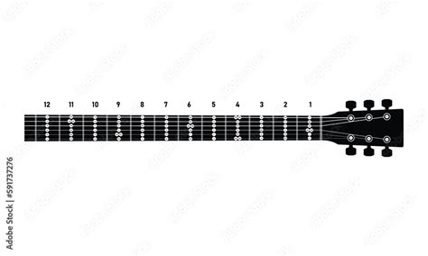 Notes On The Guitar Neck Guitar Chords Diagram Stock Vector Adobe Stock