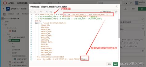 【oracle apex开发小技巧3】oracle apex pl sql动态拼接的注意点和技巧 csdn博客