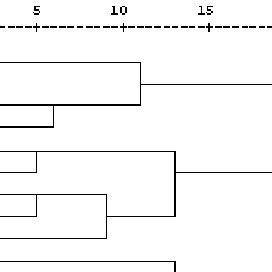 Dendrogram Showing The Result Of Hierarchical Clustering Based On
