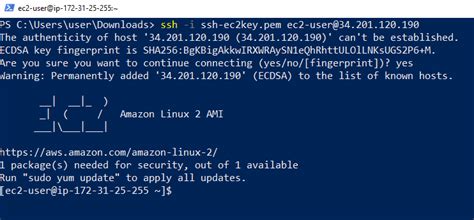 ssh with powershell into aws ec2 instance medium