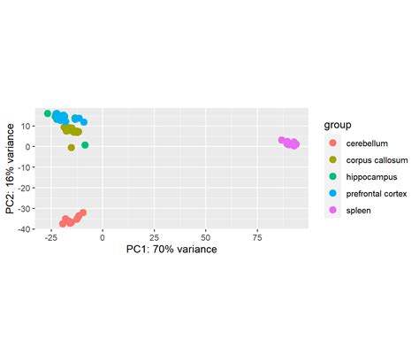 How To Increase Height Of Plot In Ggplot Clearance Laseb Fae Ufmg Br