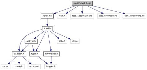 Burrtools Src Lib Voxel Cpp File Reference