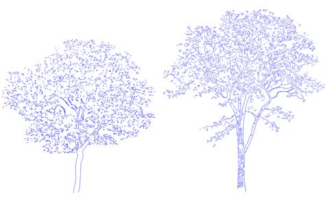 Landscaping Tree Elevation Detail 2d View Autocad File Cadbull