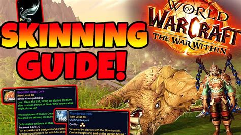 The War Within SKINNING Guide Everything NEW In The War Within