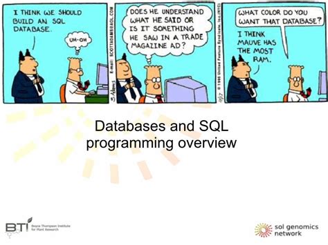 pdf databases and sql programming overview · programming with a procedural language write your