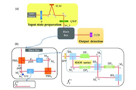 a extension of our experimental design for the case with d 4 to download scientific diagram