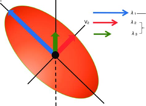 ellipsoid model of diffusion tensor imaging dti download scientific diagram