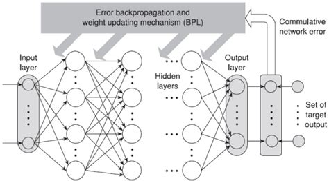 multi layer perceptron with back propagation algorithm download scientific diagram