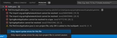 vs code上的java现在带有语法模式和sonarlint支持 后端 博客 测评and博客 json博客