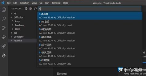 vscode配置leetcode插件 知乎