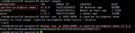 nginx安装、卸载教程（含window、linux版、docker版） nginx卸载 csdn博客