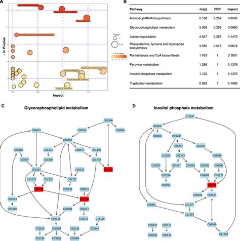 the kegg pathway enrichment analysis of differential metabolites in download scientific diagram