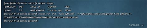 docker安装python3教程 docker 安装python3 csdn博客