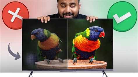 QLED Vs OLED Which Should You Choose Ultimate Guide 41 OFF