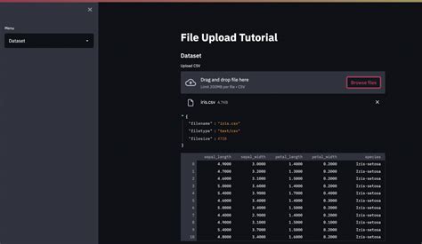 file upload download with streamlit