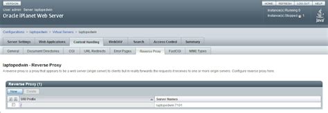 java oracle soa blog using the oracle iplanet web and proxy server for fmw reverse proxy