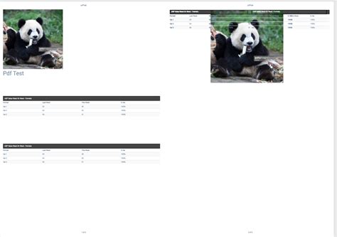 pdfmake absolute positionning not working after pagebreak · issue 1738 · bpampuch pdfmake