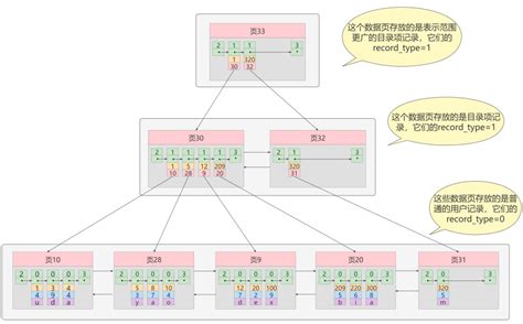 mysql索引结构 yrf s blog