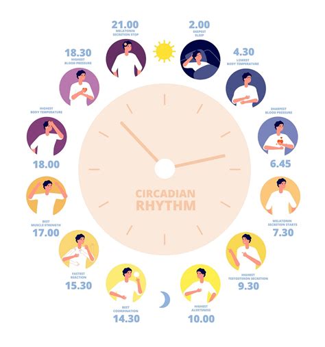 what is your circadian rhythm and why is it important integris health