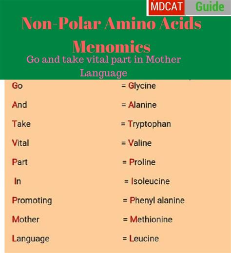 Amino Acids Mnemonics Easy Way To Memorize Mdcat Guide