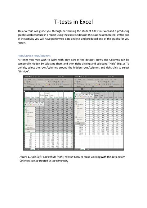 SOLUTION How To Perform T Test In Excel Studypool