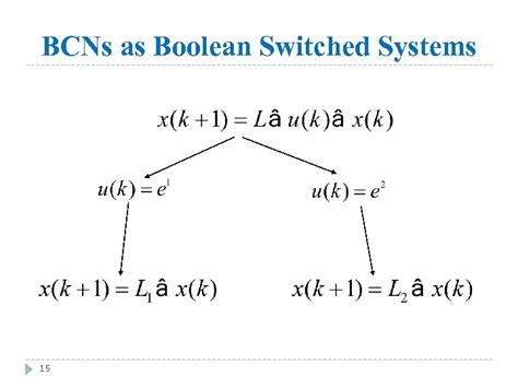 a maximum principle for single input boolean control networks
