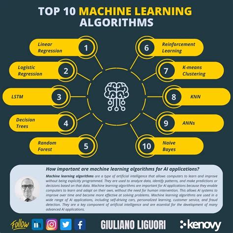 broadband nation the top 10 machine learning algorithms infographic