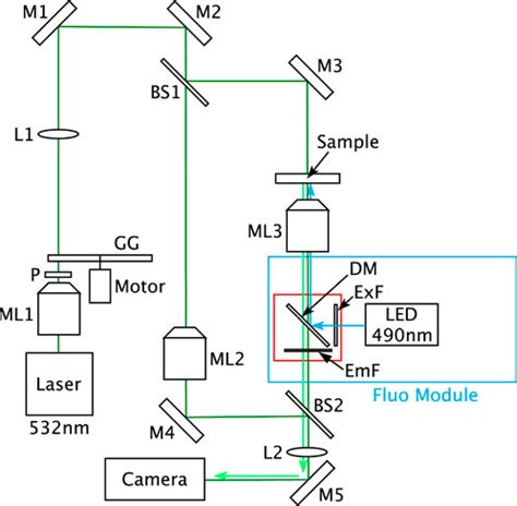 Frontiers Lipid Quantification In Living Microalgal Cultures With