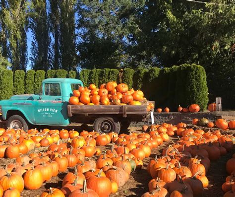 The Best Pumpkin Patches In Utah For Families Its Fall Yall Planning Away
