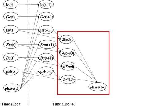 Dynamic Bayesian Network Representing The Dynamic Of Variables