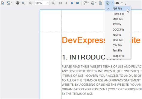 Reports With A Visual PDF Signature DevExpress End User Documentation