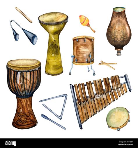 Set Of Variouse Percussion Musical Instruments Watercolor Illustration