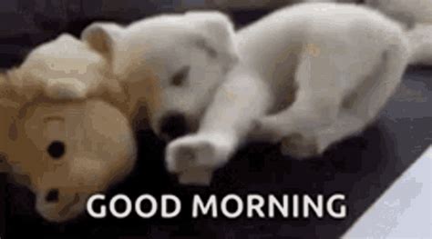 Morning Cuddle  Morning Cuddle Discover And Share S