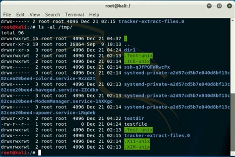 Kali Linux Windows 10 Commands Qosasupreme