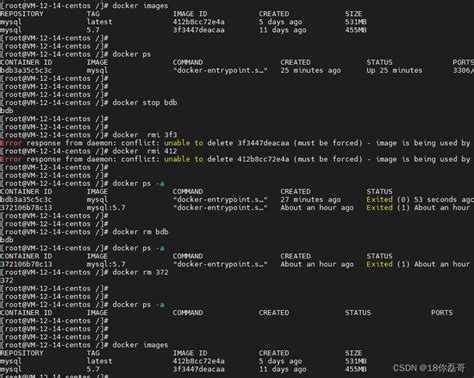docker上面安装mysql docker mysql my cnf CSDN博客