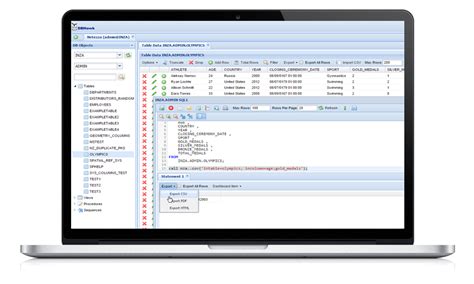 netezza sql client tool sql workbench for ibm netezza dbhawk