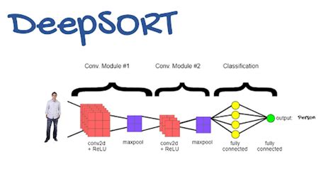 Deep Sort An Insight Into Object Tracking Dexlock